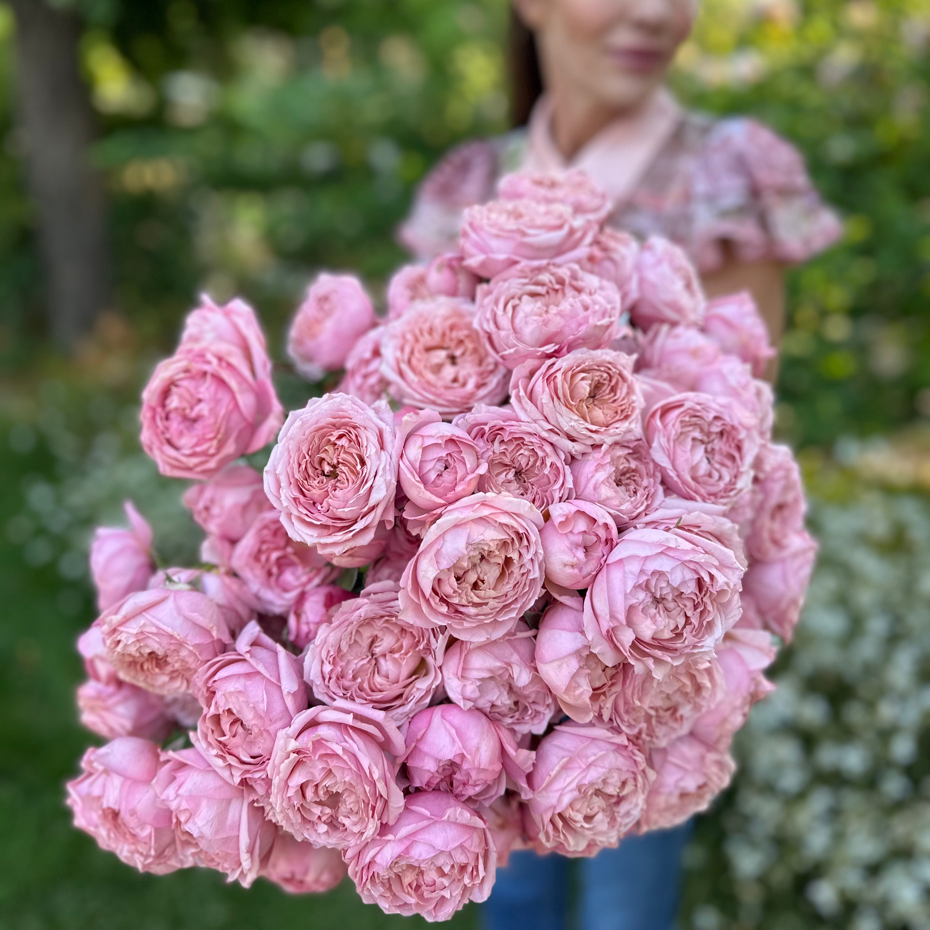 Roses for Containers/Pots – Grace Rose Farm (Rose Bushes)